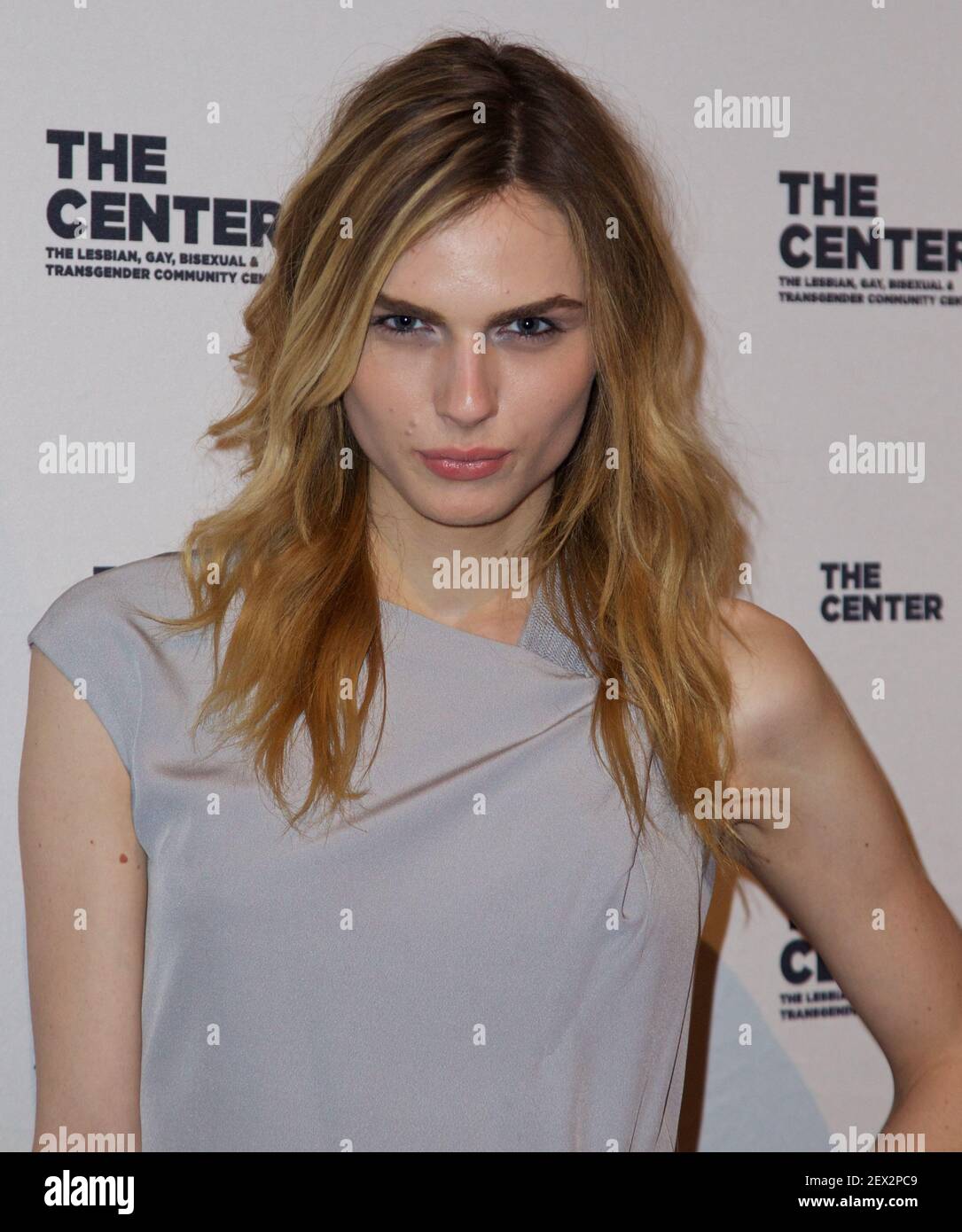 Andrea Pejie attends The 2015 Center Dinner at Cipriani Wall Street in ...