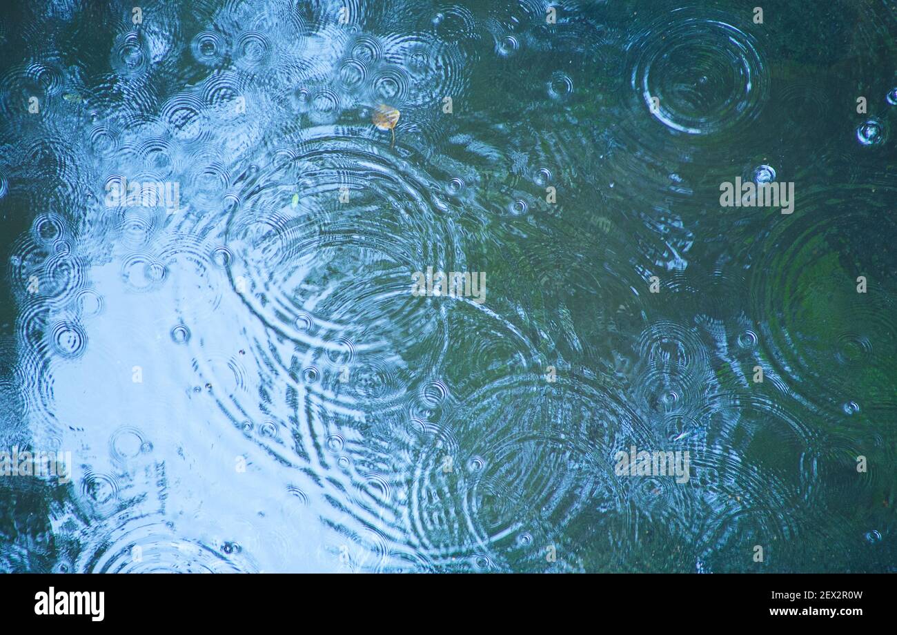 rain drops falling in pool on asphalt Stock Photo - Alamy