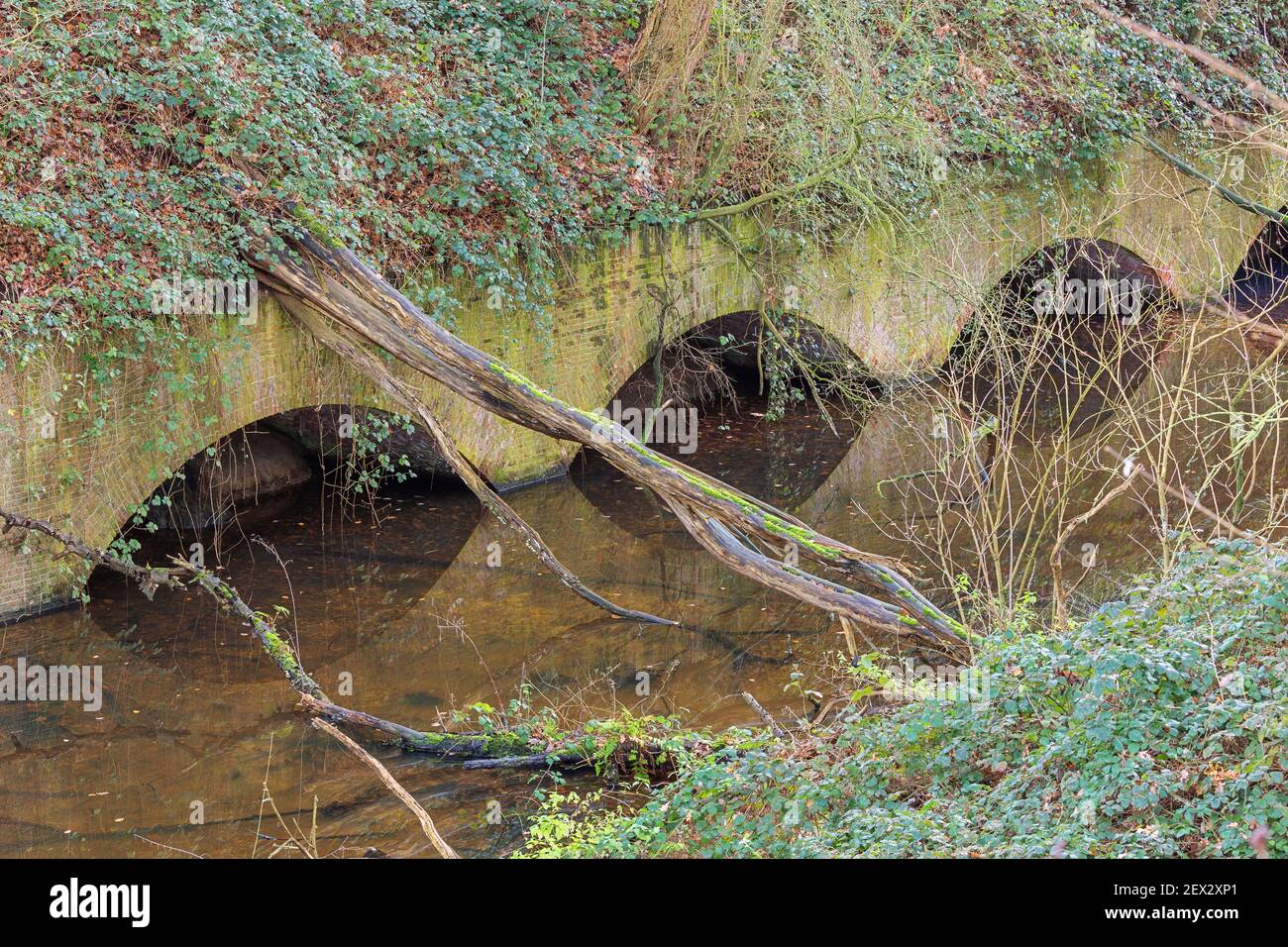Reflections of the fortified walls in the water of the moat of the Fort ...
