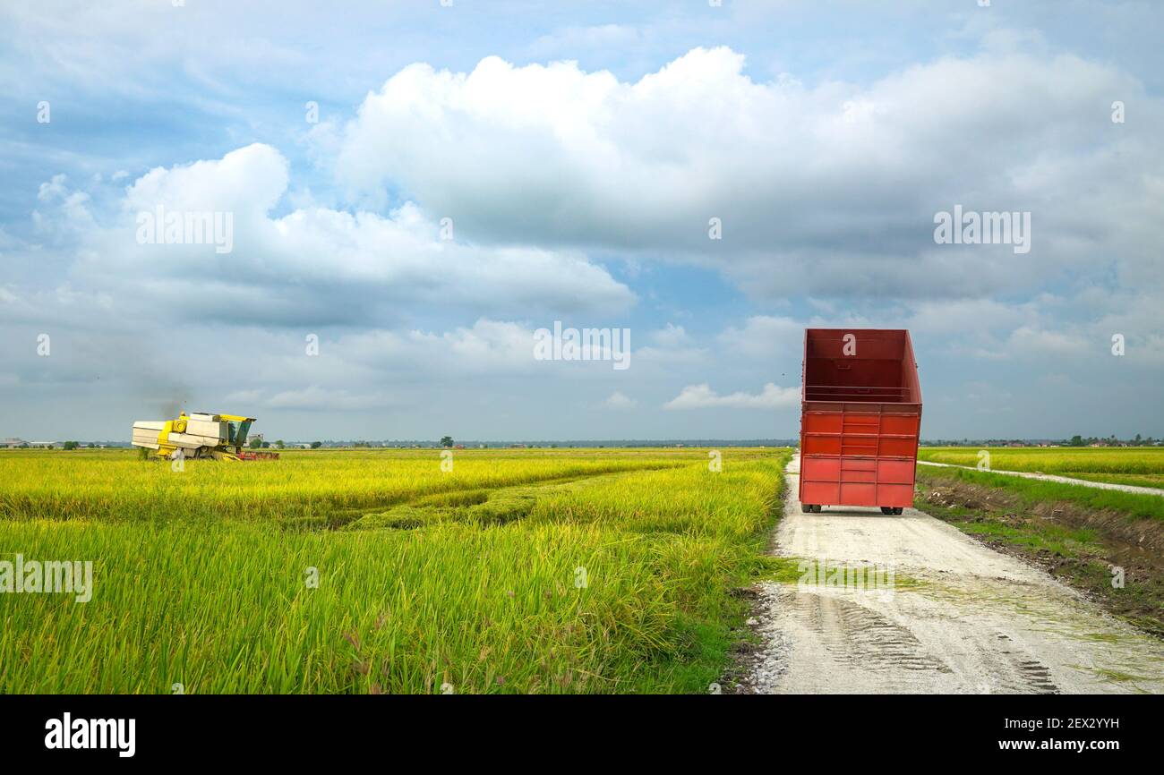 Harvester machine hi-res stock photography and images - Alamy