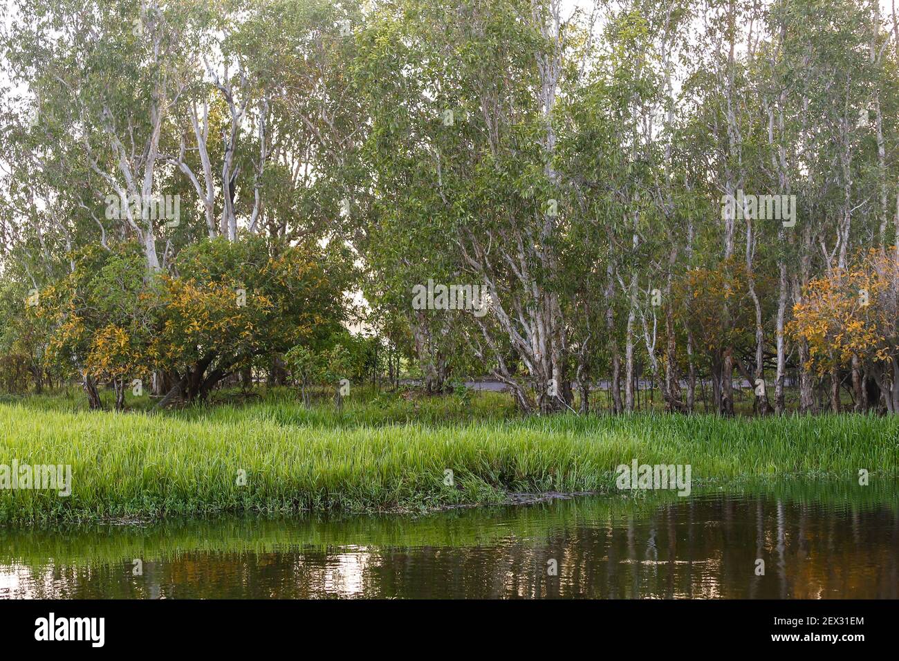 Landscape of australian river Stock Photo - Alamy