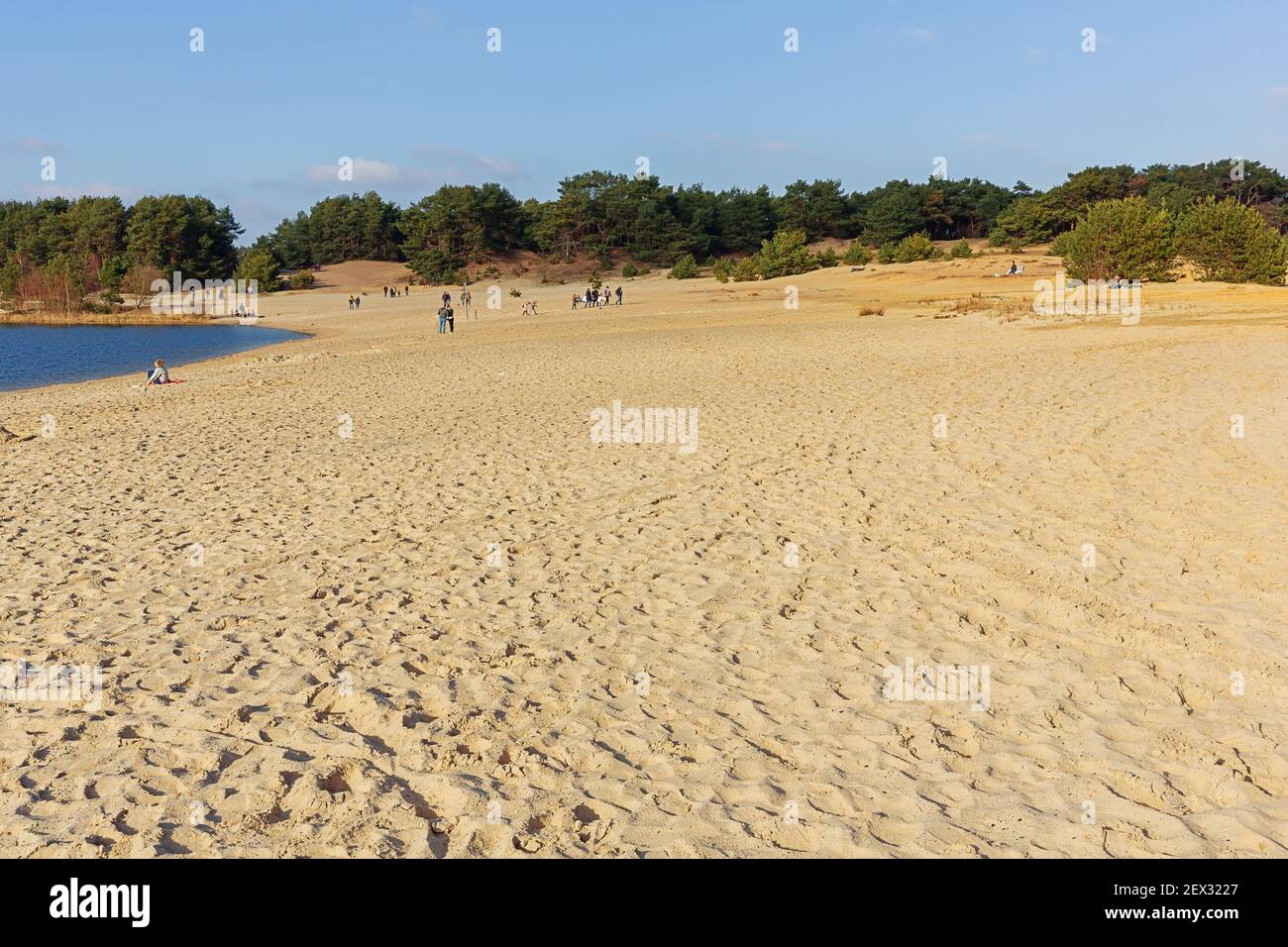 Sahara lommel hi-res stock photography and images - Alamy