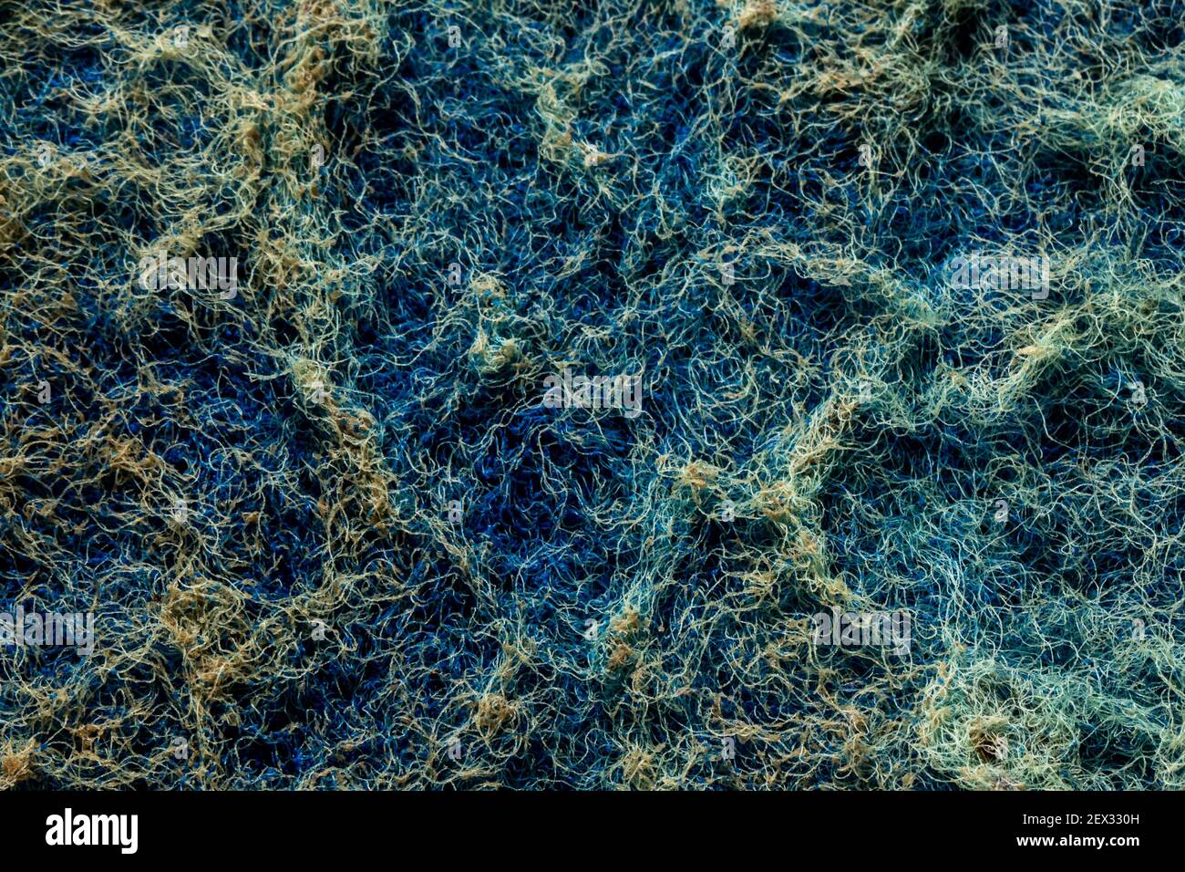 macro view of blue spongy material Stock Photo - Alamy