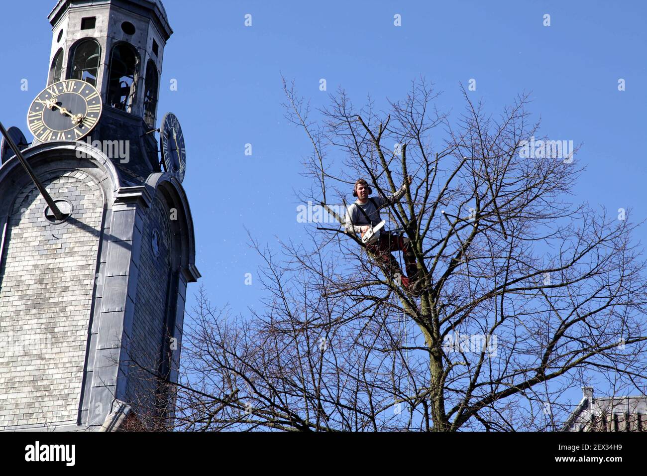 Secured by rope these men trim trees in spring using a motor saw Stock ...