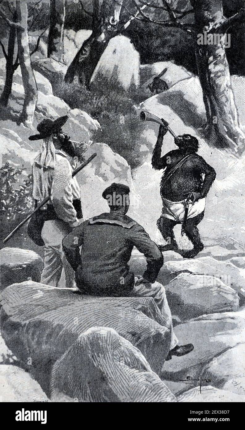 Humans being Entetained by a Quadrumana or Ape Dressed in Shorts ...