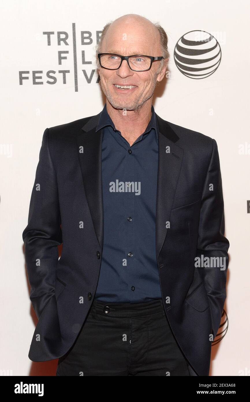 Actor Ed Harris attends "The Adderall Diaries" World Premiere during ...