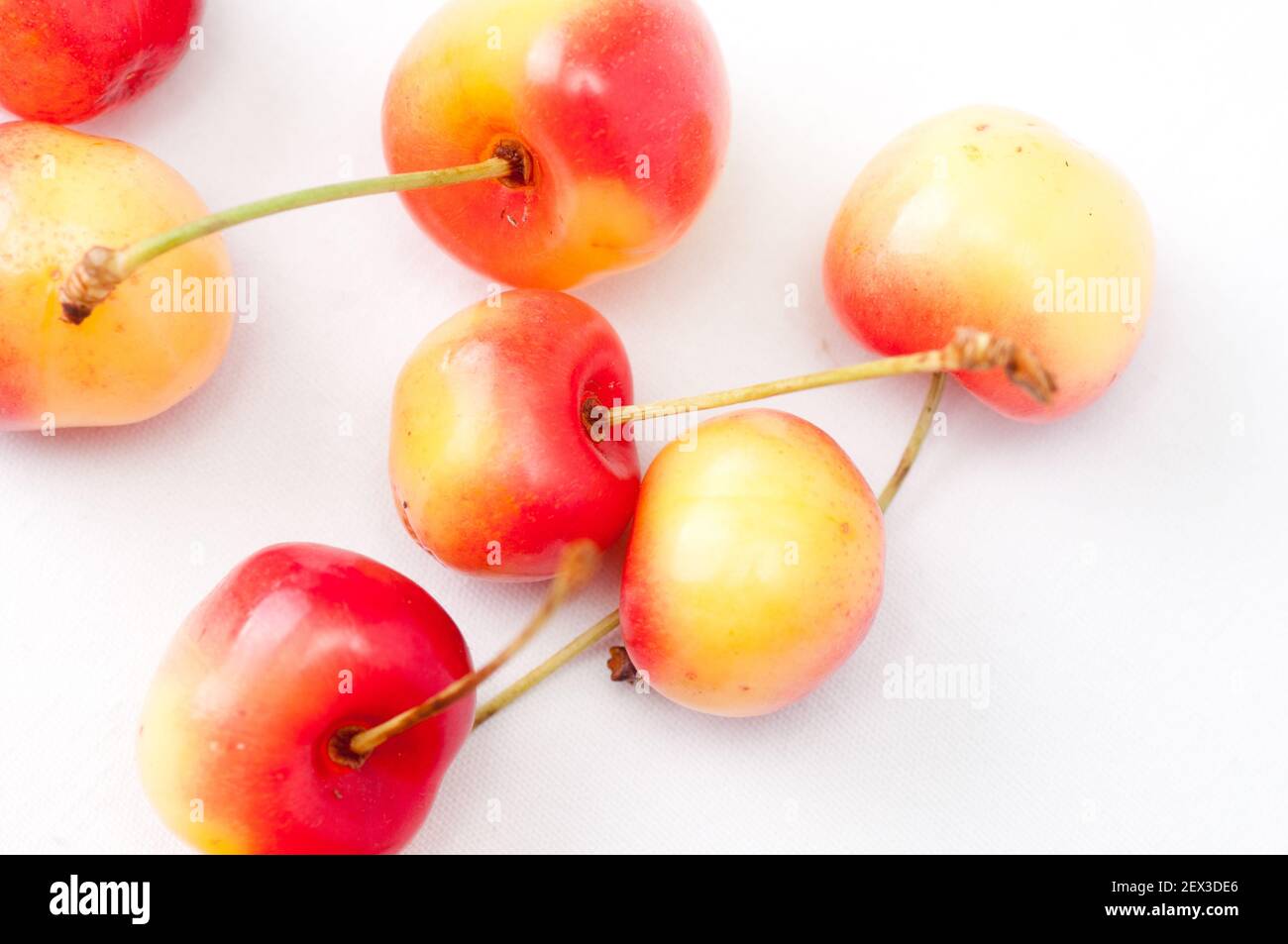Lambert Cherries