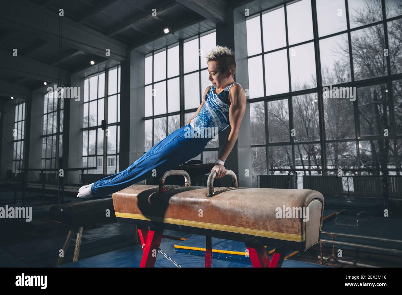 Strong. Little male gymnast training in gym, composed and active ...