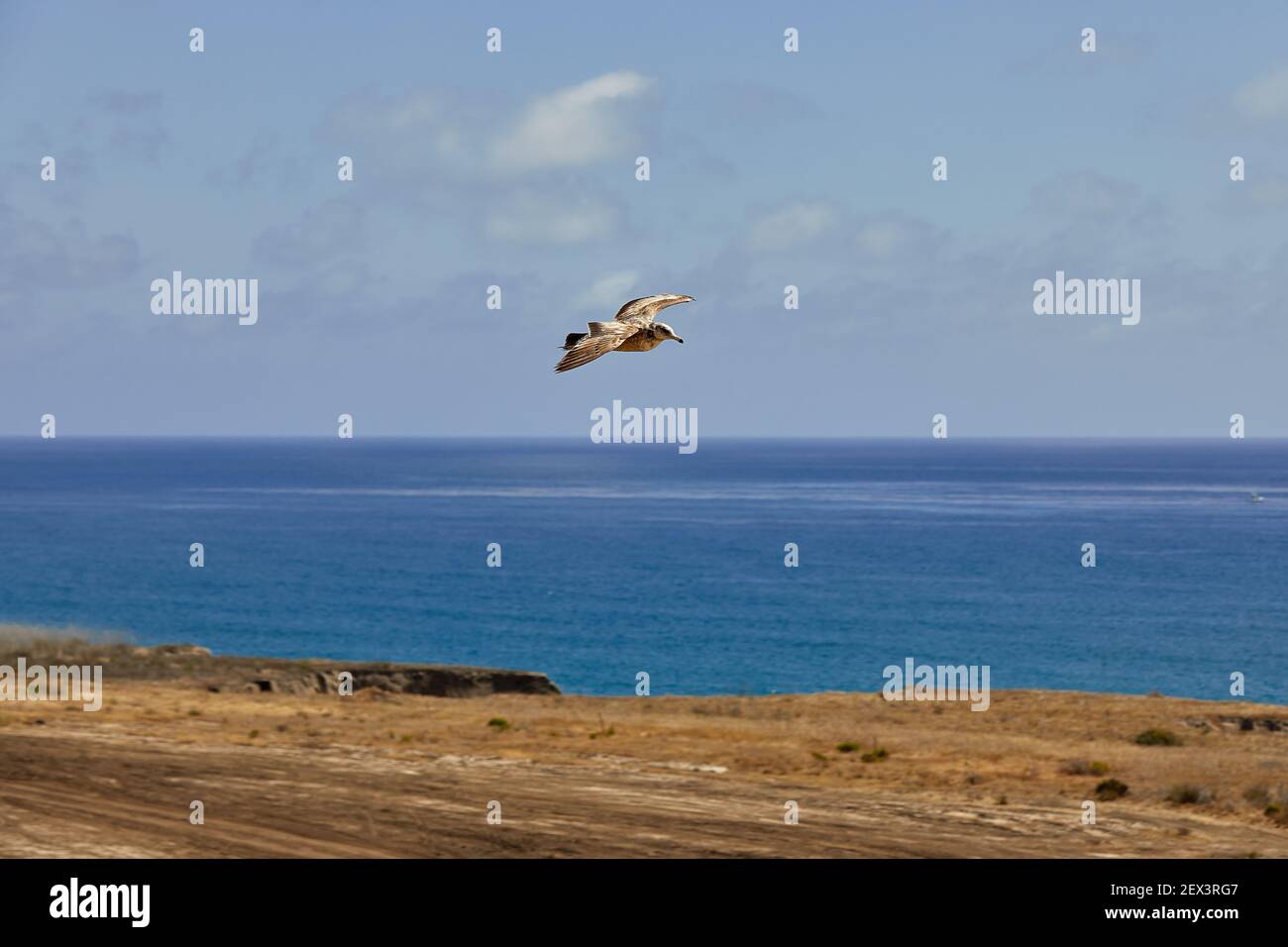 Camp pendleton base hi-res stock photography and images - Alamy