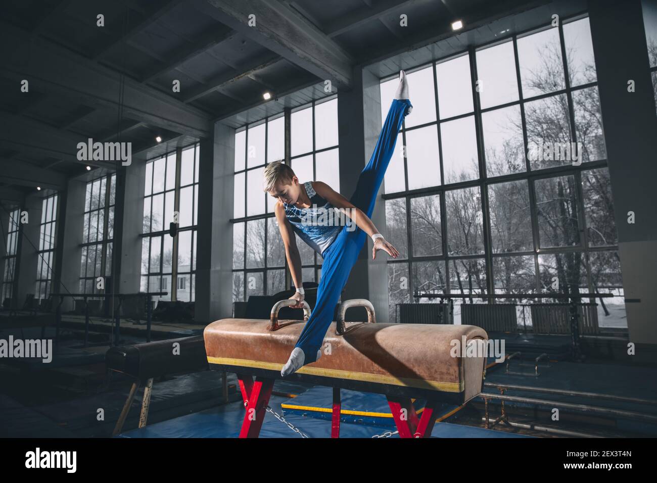 Champion. Little male gymnast training in gym, composed and active ...