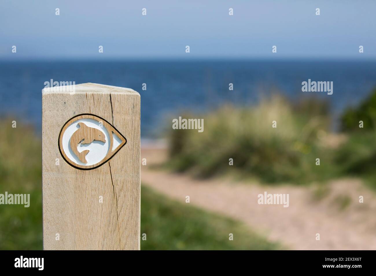 Bottlenose dolphin (Tursiops truncatus) viewpoint sign, Chanonry Point ...