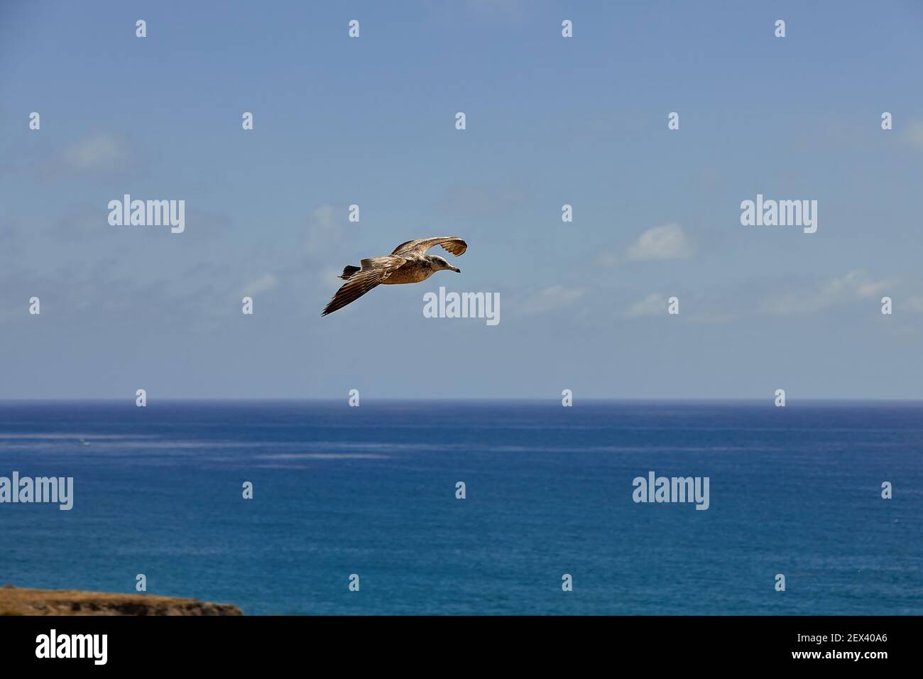 Camp pendleton base hi-res stock photography and images - Alamy