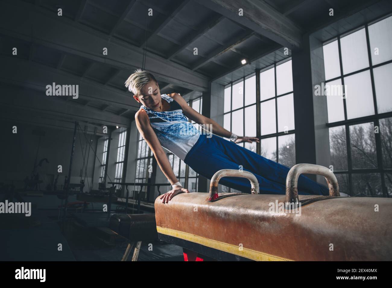 Leader. Little male gymnast training in gym, composed and active ...