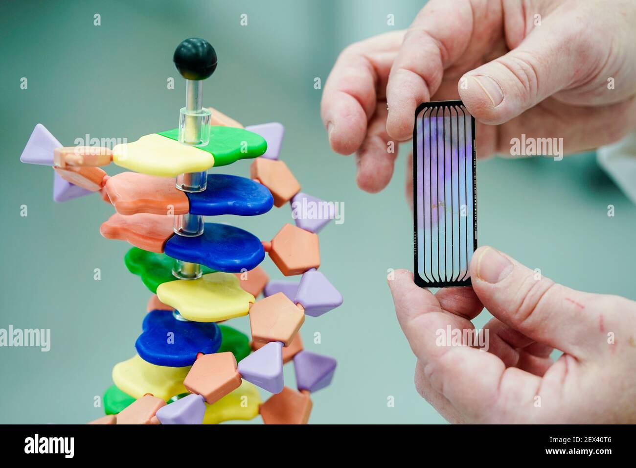 Sequencing lab hi-res stock photography and images - Alamy