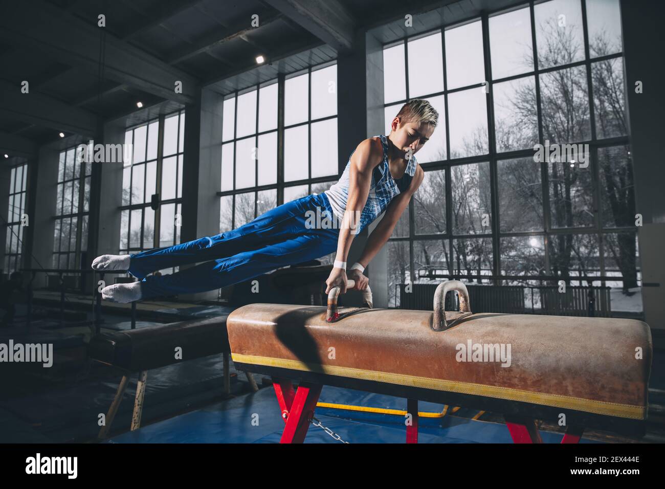 Champion. Little male gymnast training in gym, composed and active ...
