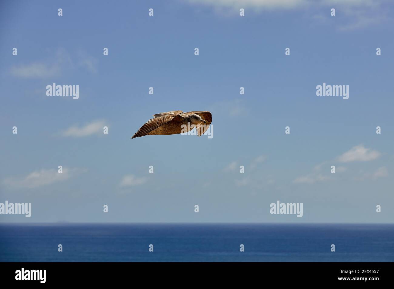 Camp pendleton hi-res stock photography and images - Alamy