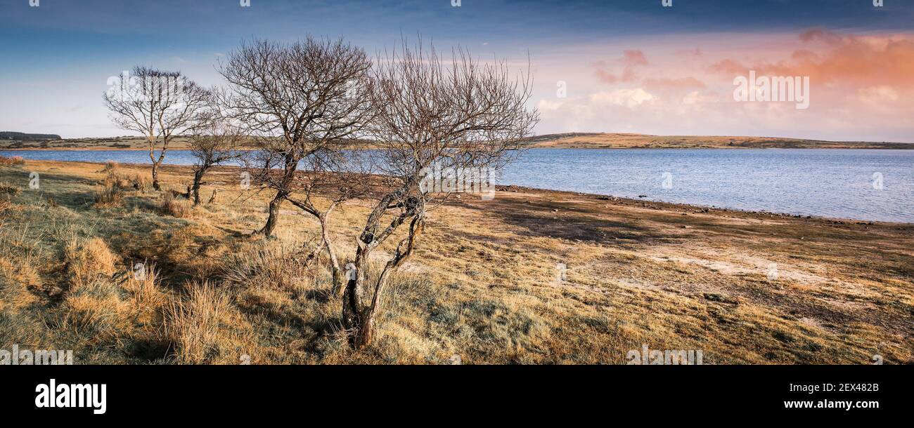 A panoramic view of evening light over Colliford Lake on Bodmin Moor in ...