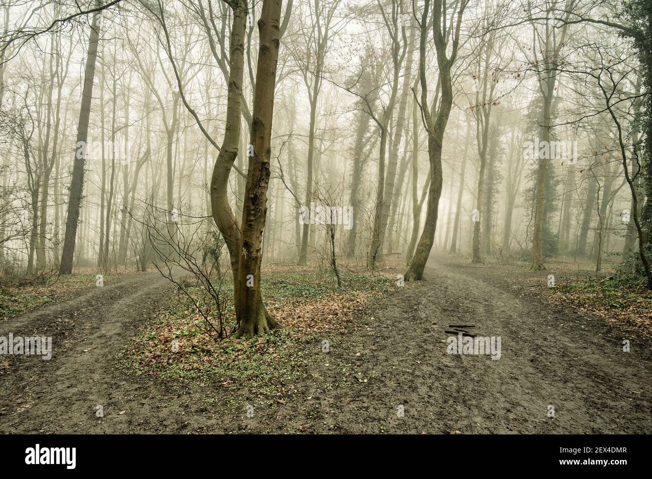 Little chalfont nature park hi-res stock photography and images - Alamy