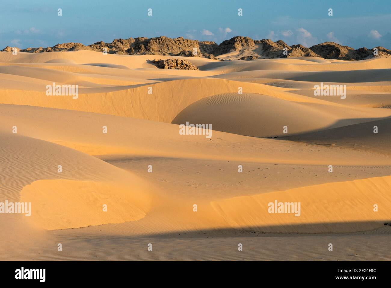 Landscape of the Khaluf desert (Sugar dunes), Oman Stock Photo - Alamy