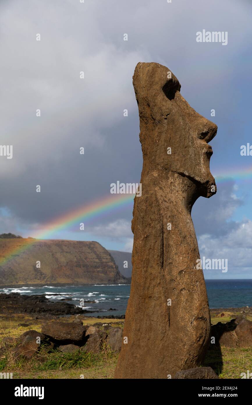 Ahu Tongariki, 15 Moai upright. Rapa Nui, Easter Island, Chile Stock ...