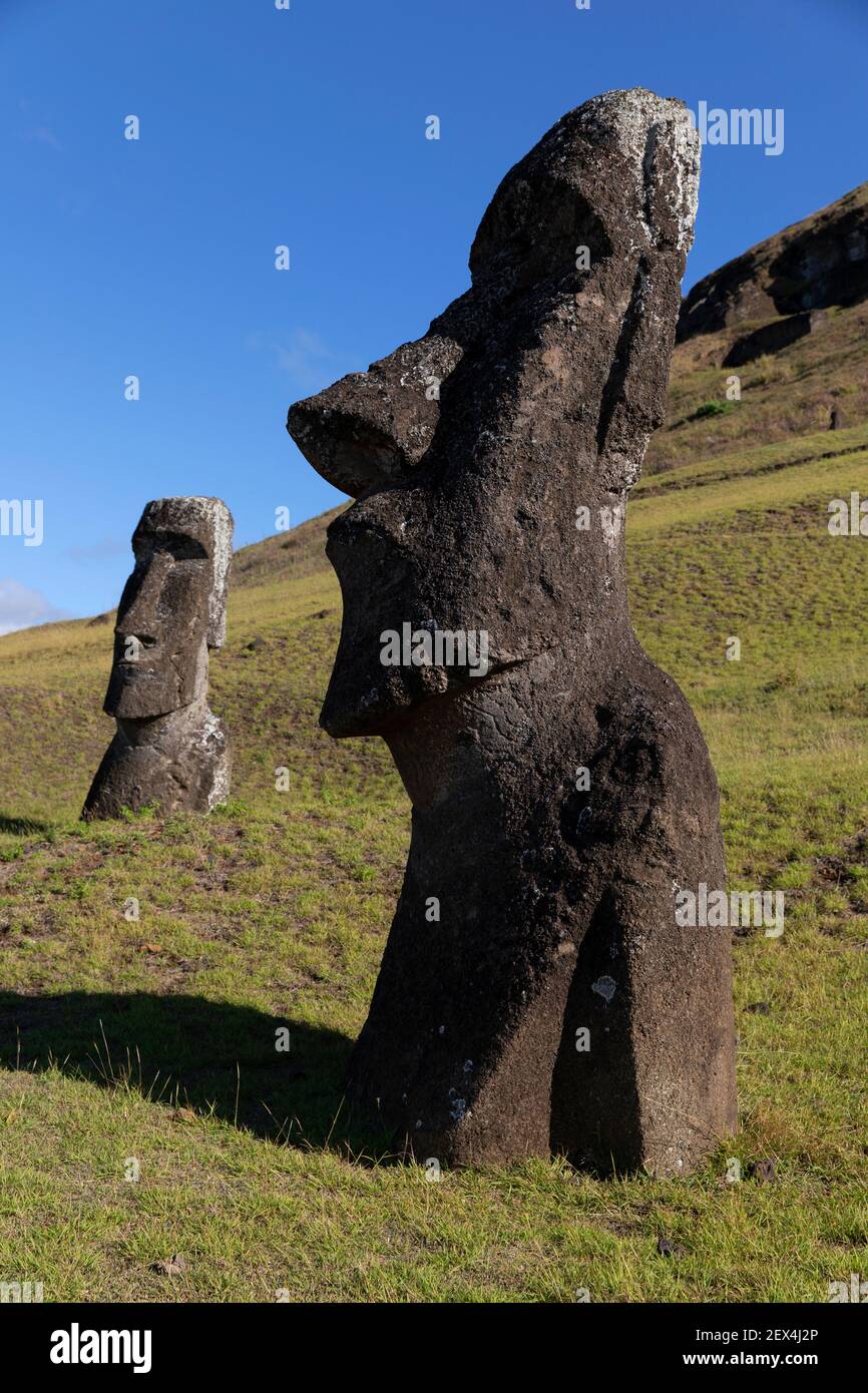 Rano Raraku, Moai Quarry, Easter Island, Chile Stock Photo - Alamy