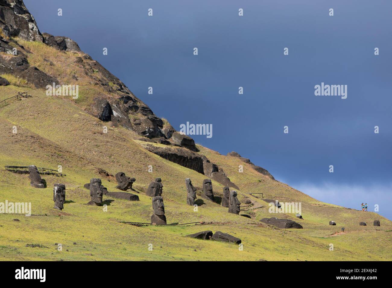 Rano Raraku, Moai Quarry, Easter Island, Chile Stock Photo - Alamy