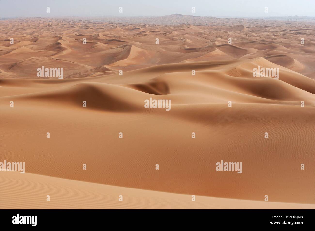 Dunes in the desert of deserts. Desert Rub al Khali Dubai, United Arab ...