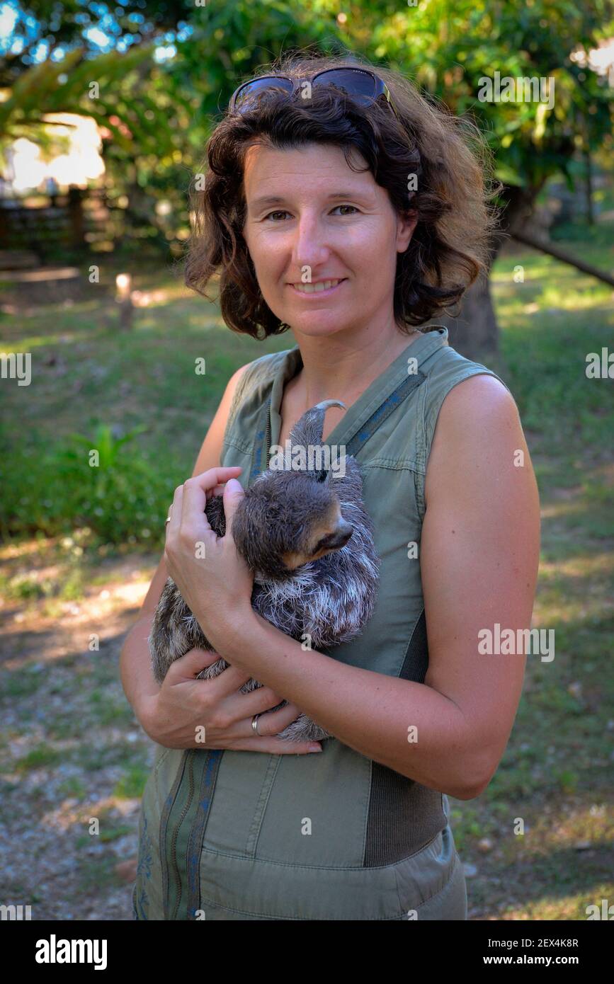 Pale throated slothes bradypus tridactylus hi-res stock photography and ...