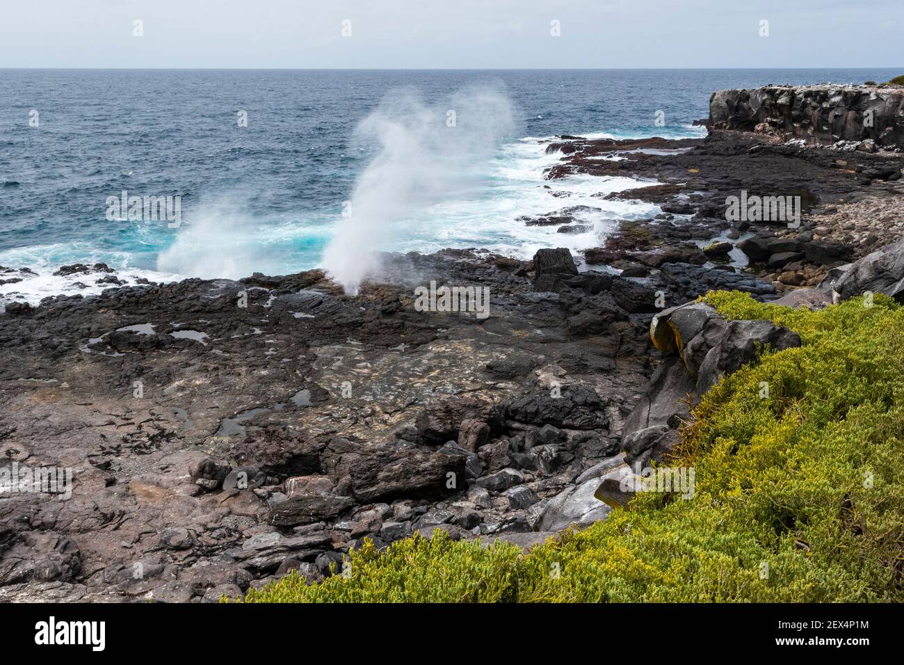 Punta Suarez, Espanola Island, Galapagos islands, Ecuador Stock Photo ...