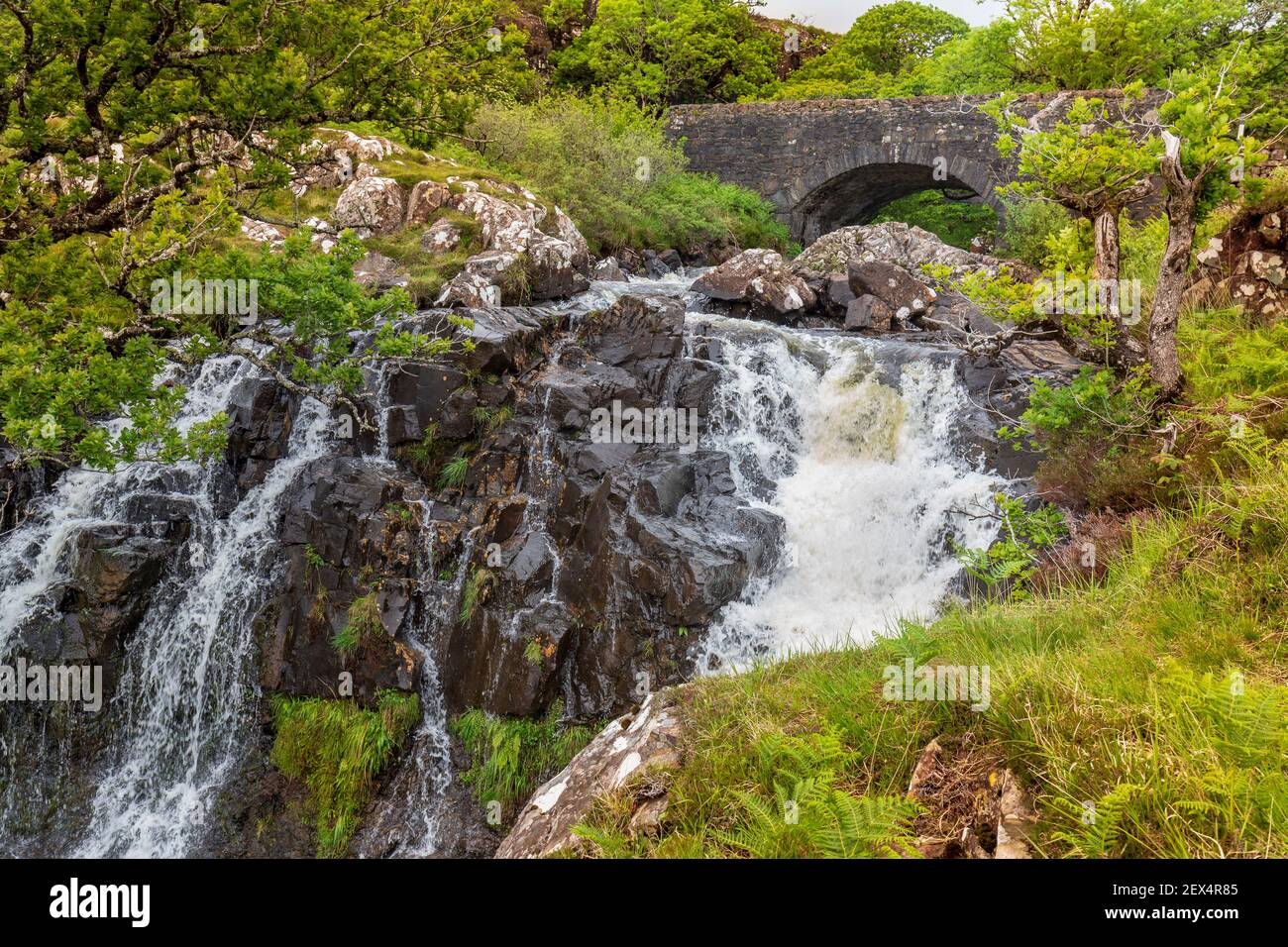 Isle of Mull waterfall, Scotland Stock Photo - Alamy