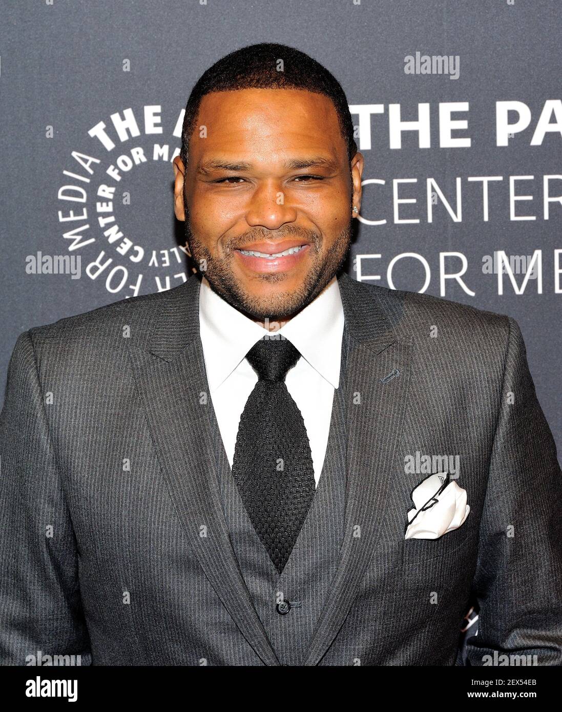 Actor Anthony Anderson attends The Paley Center Tribute to African ...