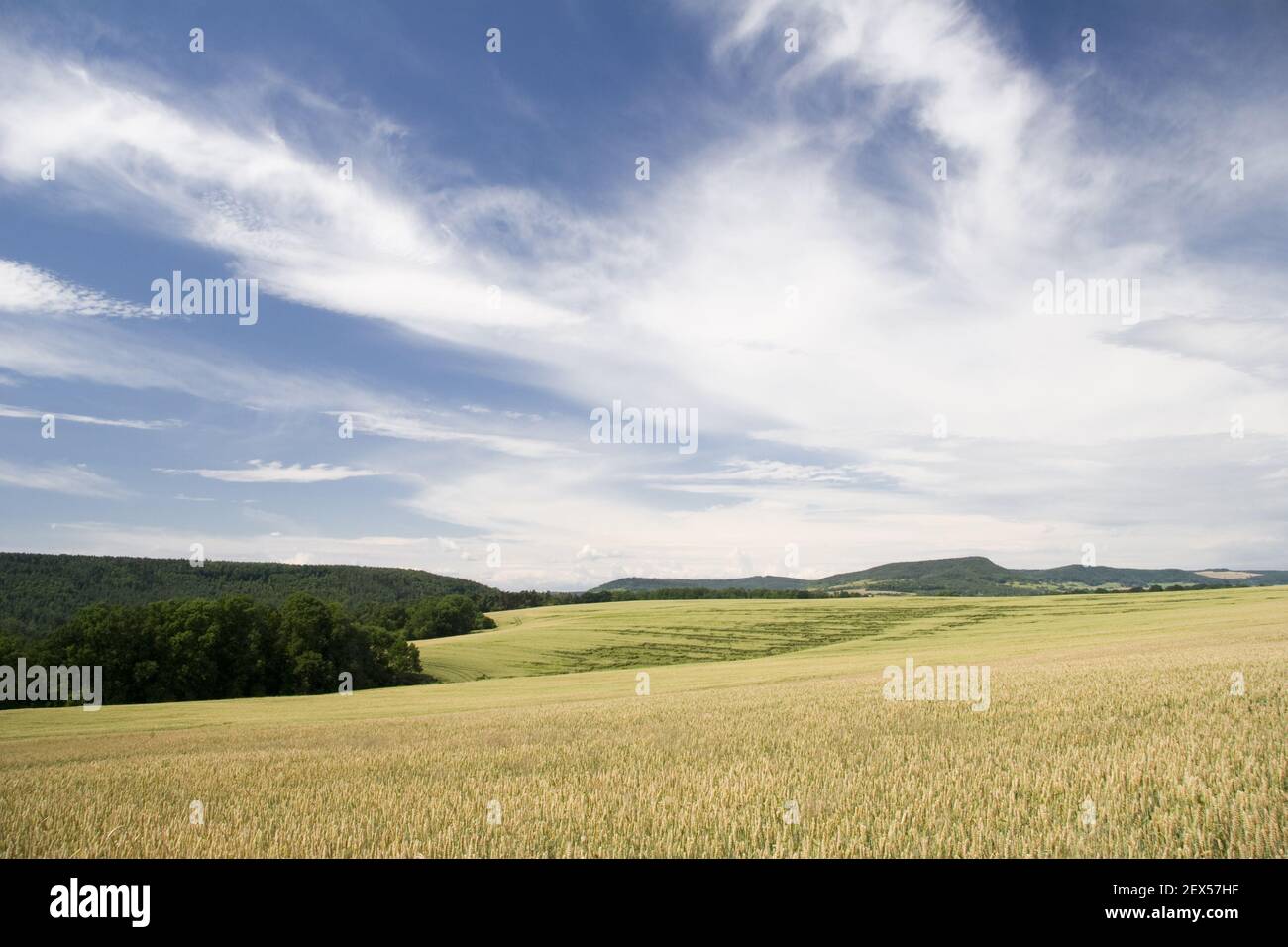 Sommerfeld hi-res stock photography and images - Alamy