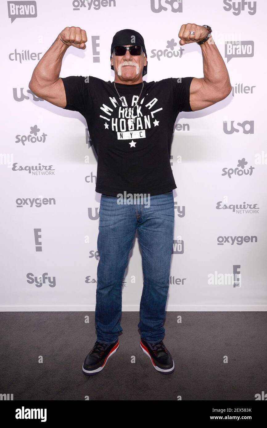 Terry "Hulk Hogan" Bollea attends the 2015 NBCUniversal Cable ...
