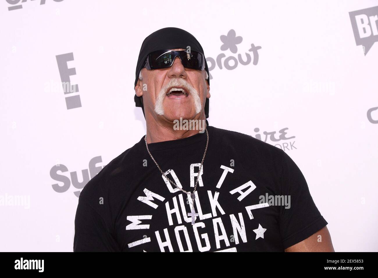Terry "Hulk Hogan" Bollea attends the 2015 NBCUniversal Cable ...