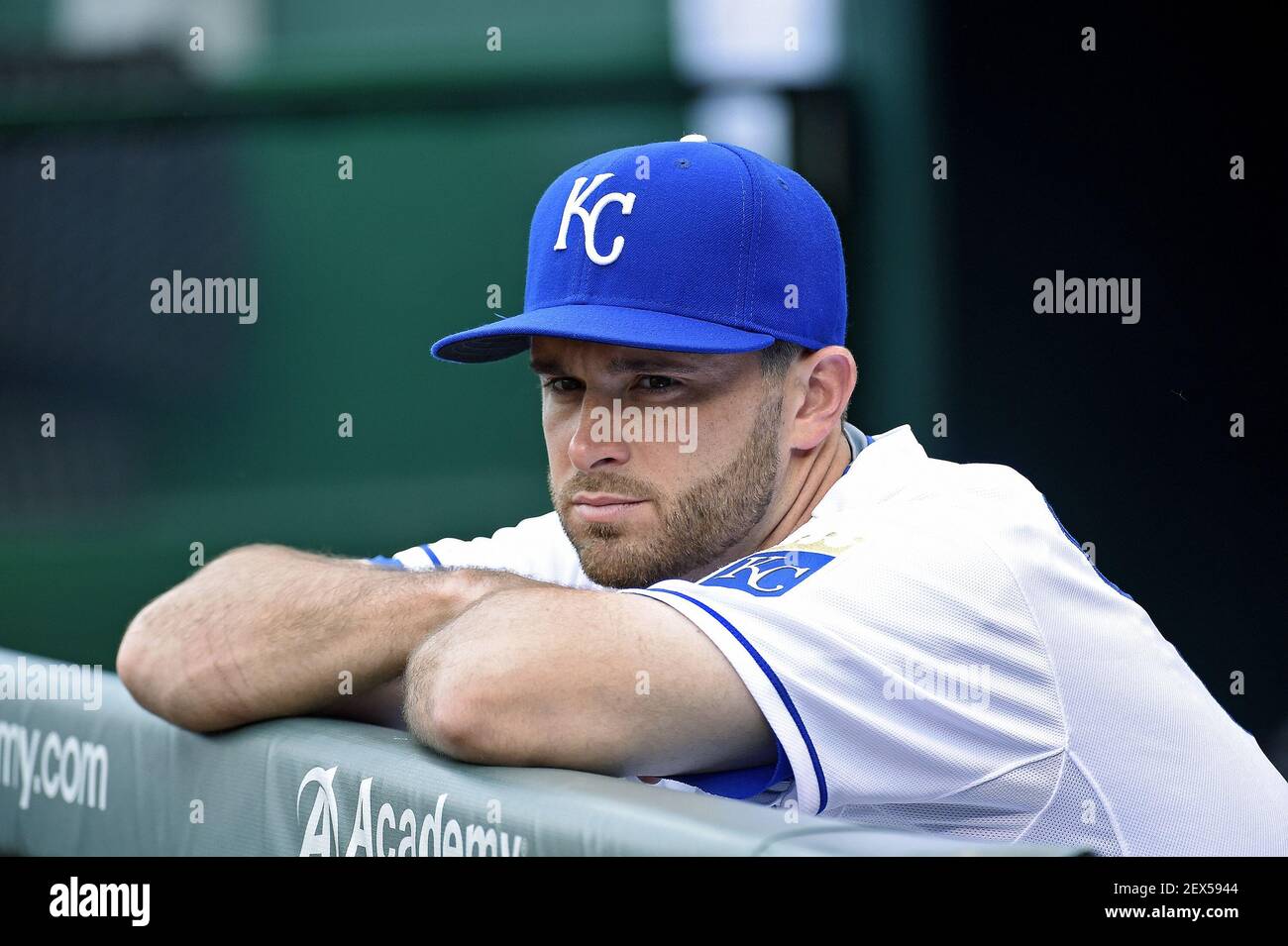 Kansas City Royals catcher Drew Butera looks on during action against ...