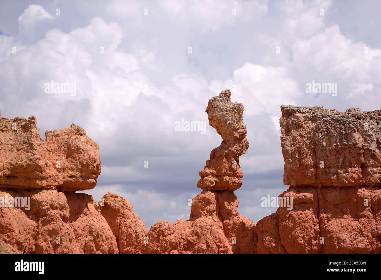 Rock formations on the Fairyland Loop in Bryce Canyon National Park ...