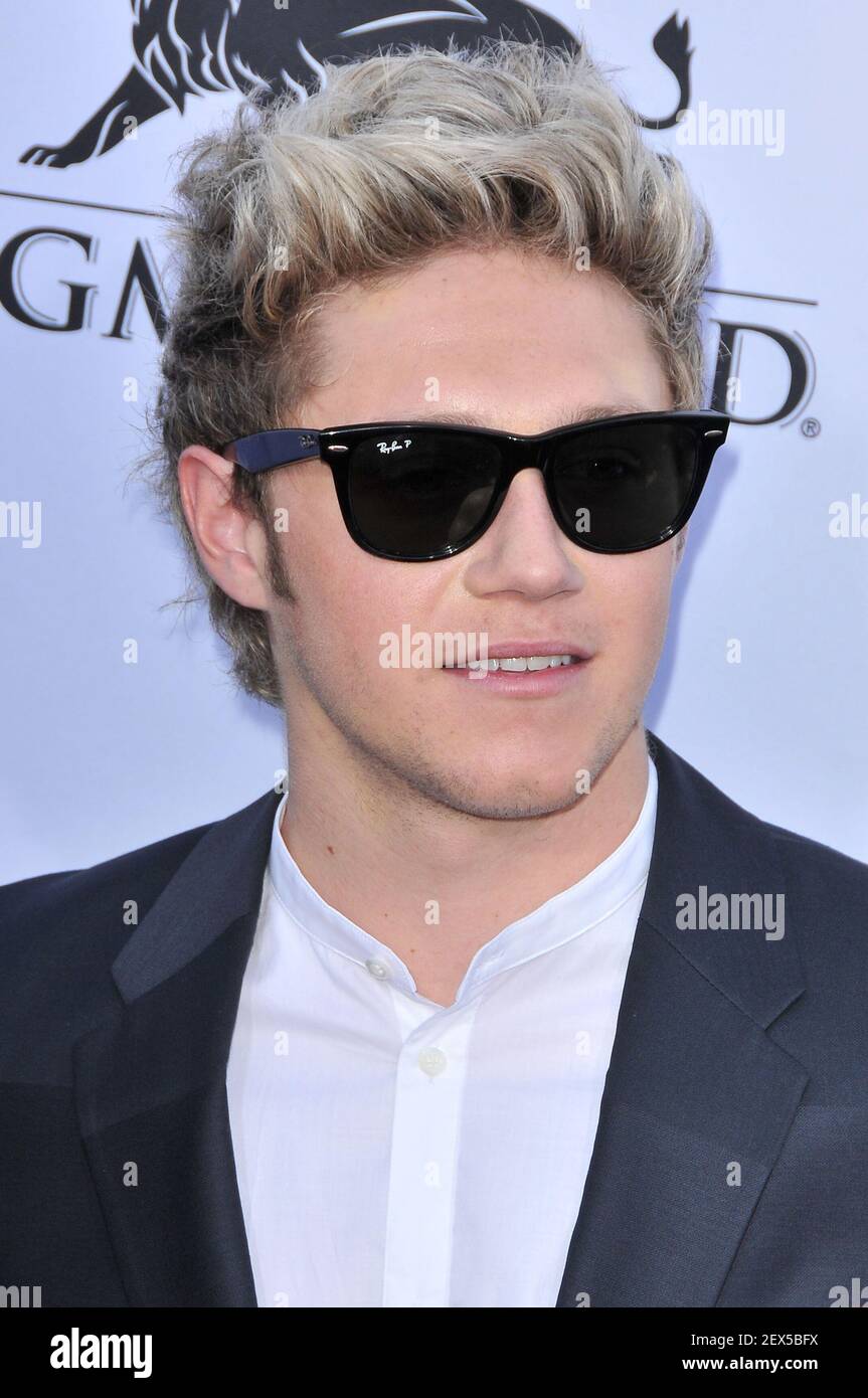 Niall Horan With Ray Bans