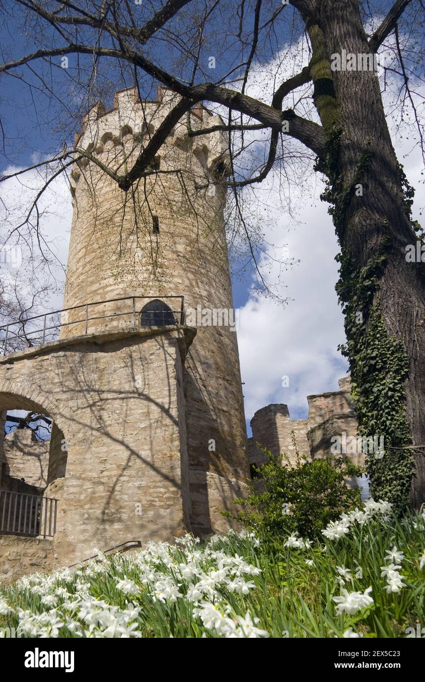 Rook Tower High Resolution Stock Photography and Images - Alamy