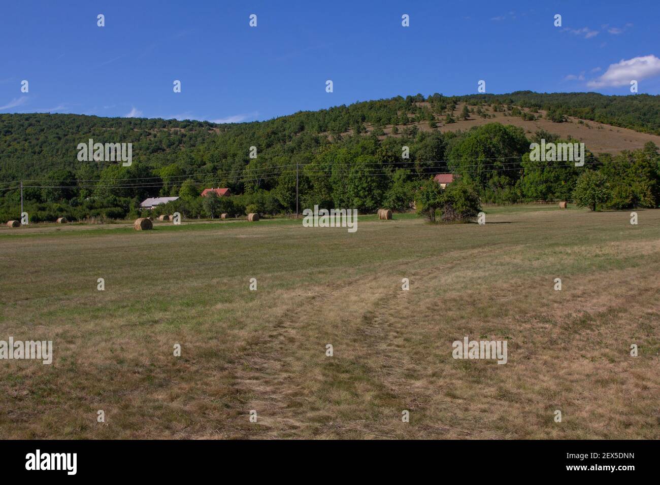 A rural area scene in summer Stock Photo - Alamy