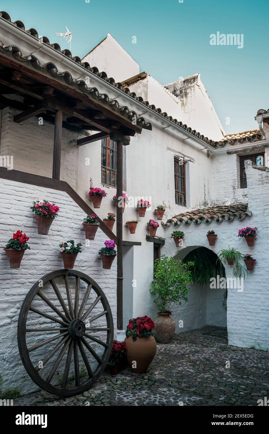 Traditional Andalusian patio, in Cordoba, Andalusia, Spain. Pots of ...