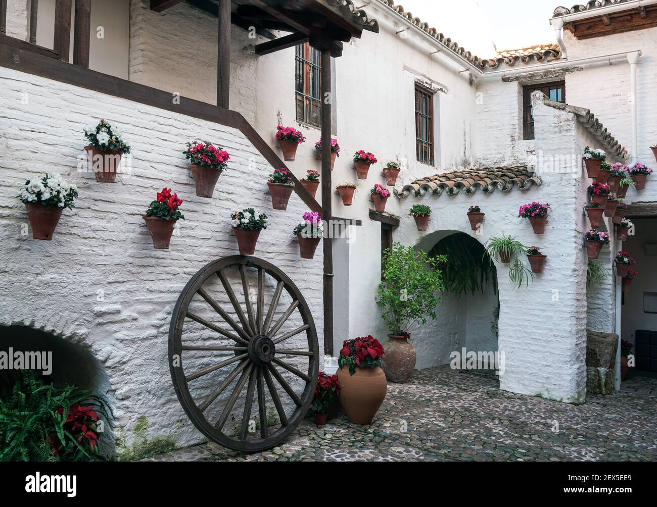 Traditional Andalusian patio, in Cordoba, Andalusia, Spain. Pots of ...
