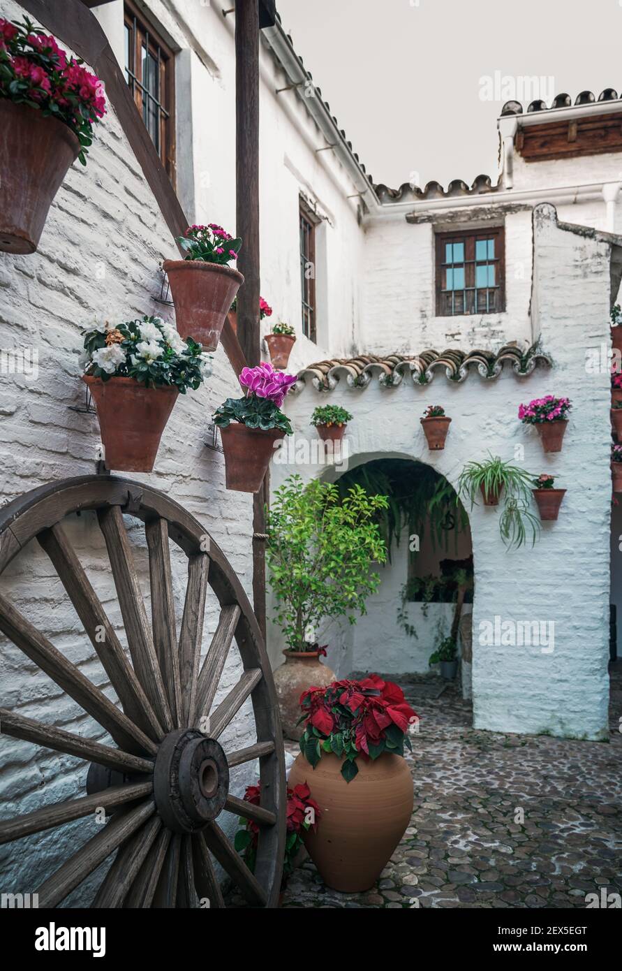 Traditional Andalusian patio, in Cordoba, Andalusia, Spain. Pots of ...