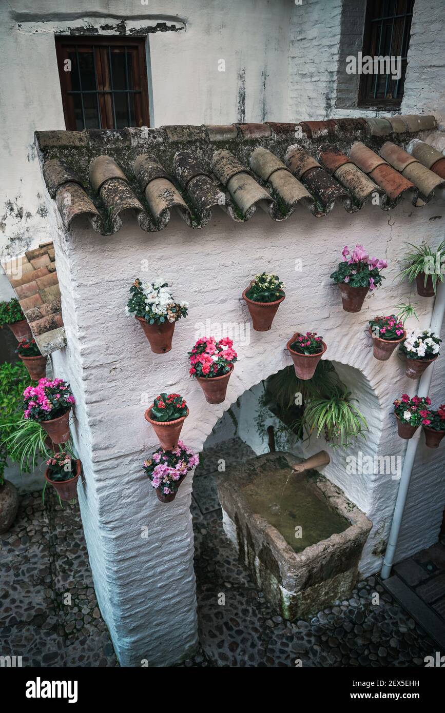 Traditional Andalusian patio, in Cordoba, Andalusia, Spain. Pots of ...