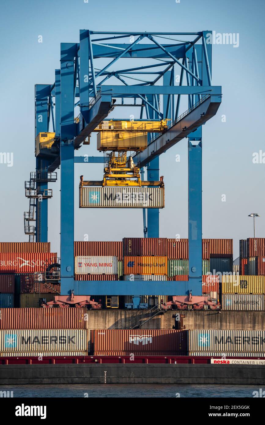 Container Terminal, Gateway West Terminal, Logport 2, cargo ship, in ...