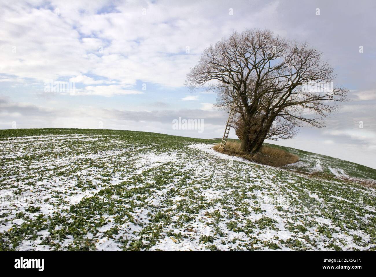 Small round world Stock Photo - Alamy