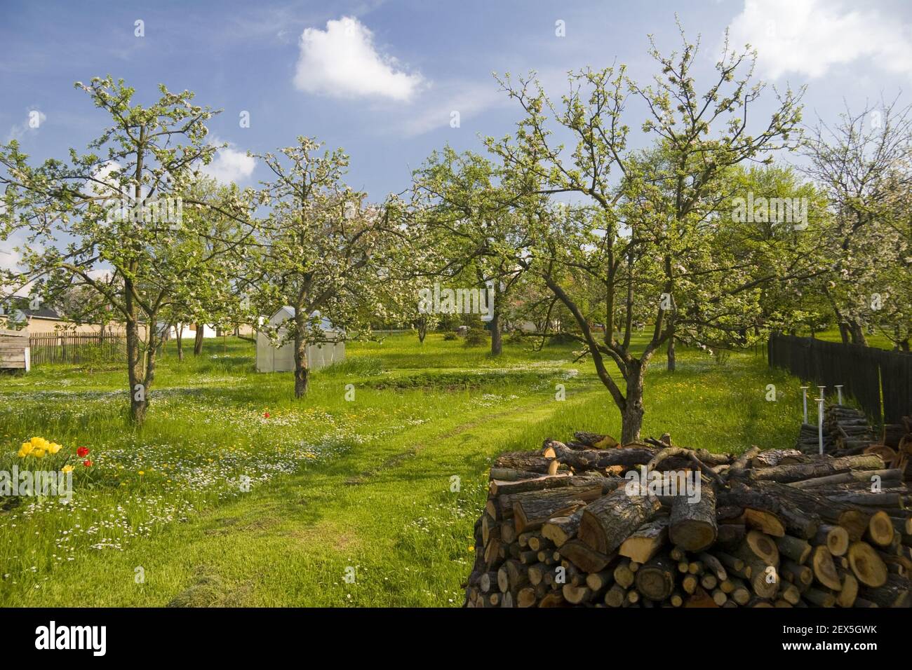 Orchard design hi-res stock photography and images - Alamy