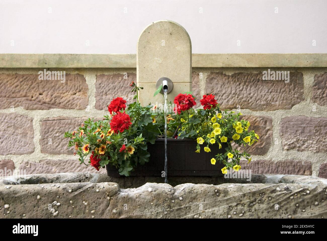 Flowers at the fountain Stock Photo - Alamy