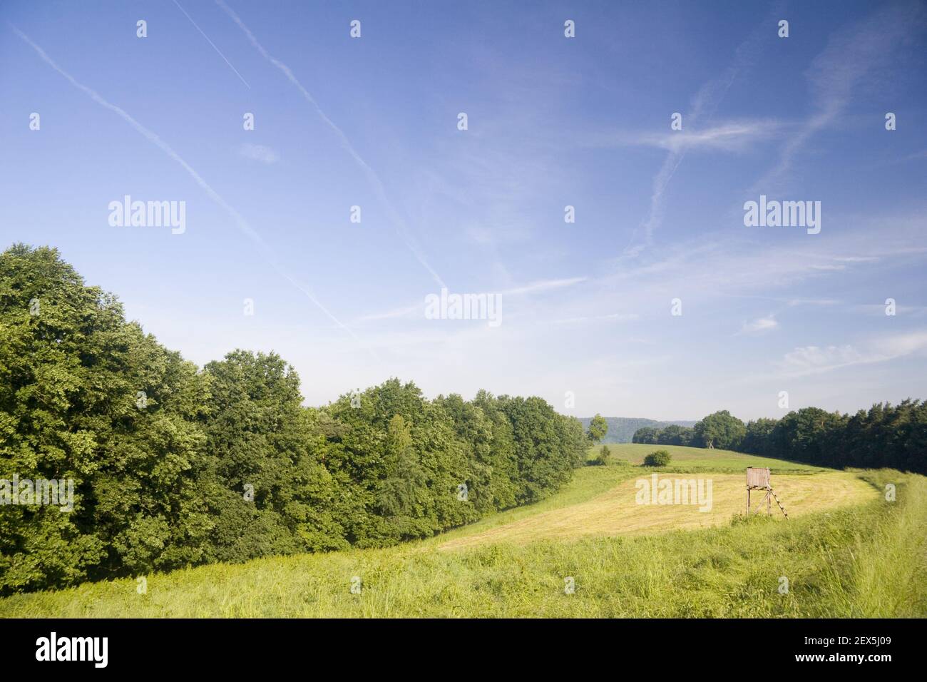Landscape timber hi-res stock photography and images - Alamy