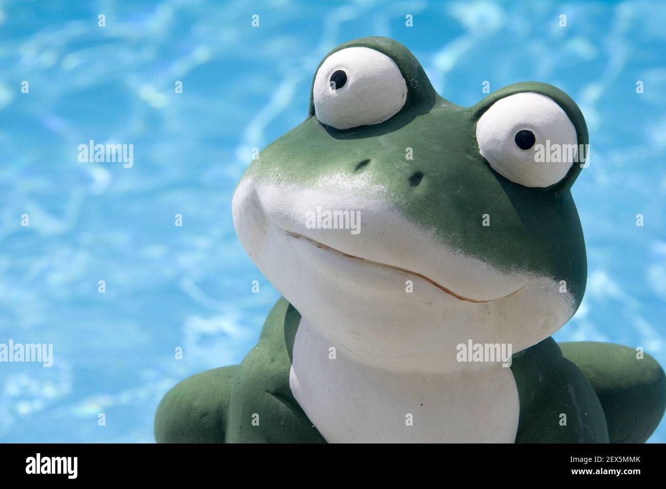 Frog by the pool Stock Photo - Alamy