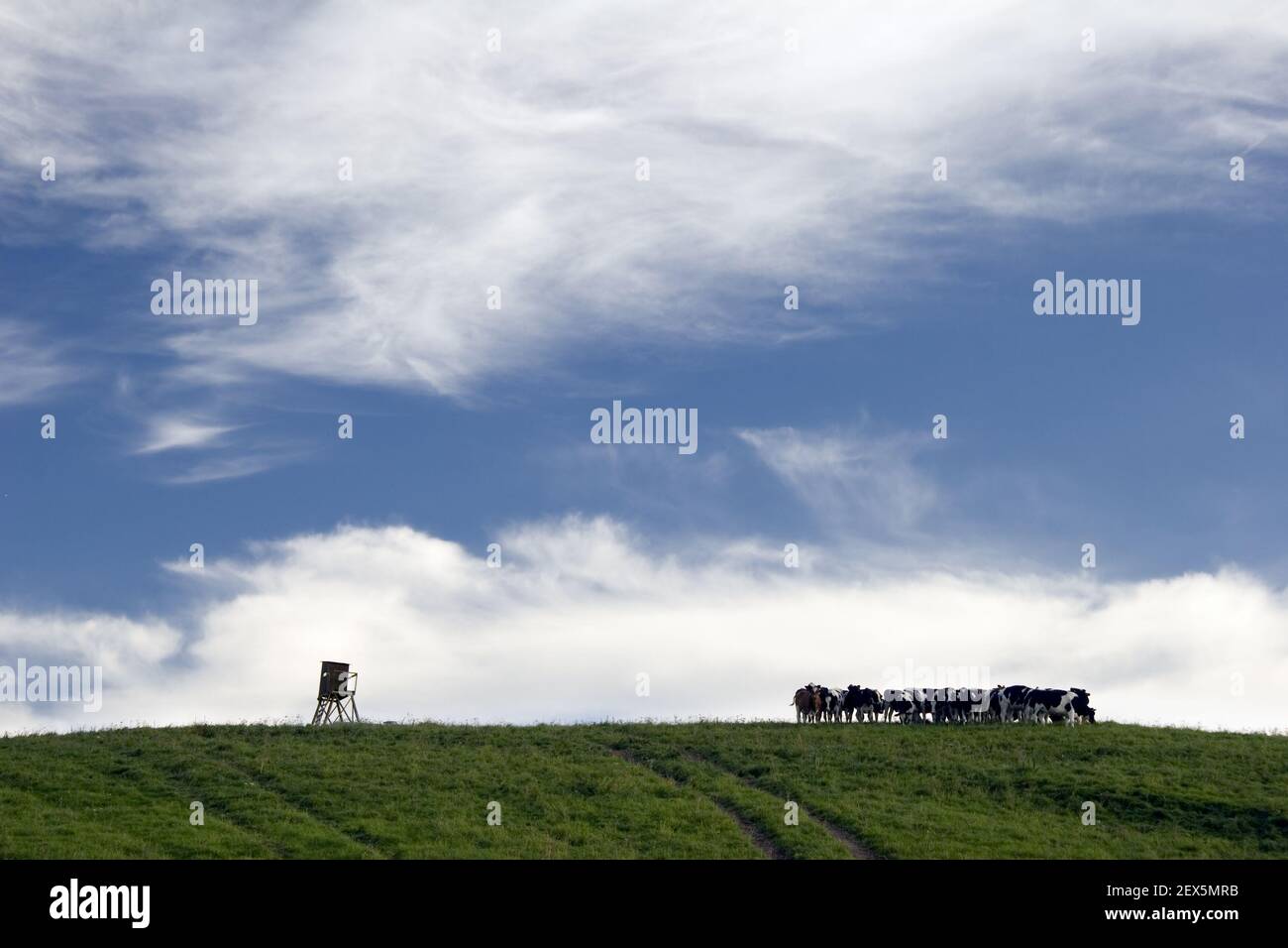 Horizon overland hi-res stock photography and images - Alamy